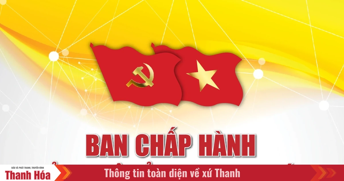[Infographics] - Ban Chấp hành Đảng bộ tỉnh Thanh Hóa nhiệm kỳ 2025-2030